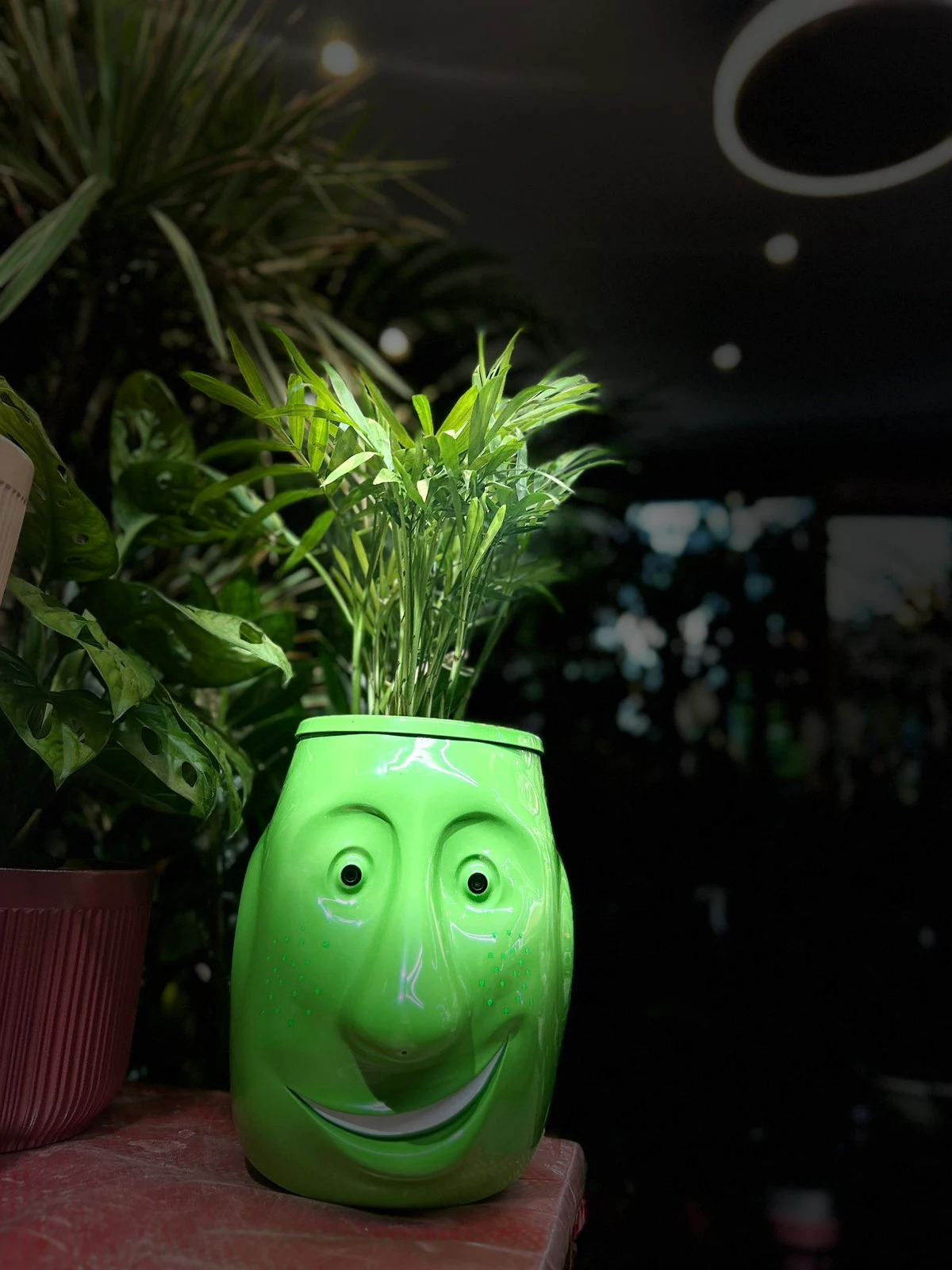 The Billy Billy robot entered the flower shop – Watch the ANT1 report ...